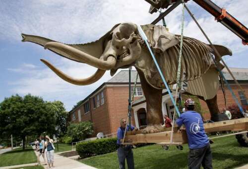 Mastodon move attracts crowd at Wheaton College