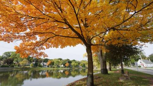 After a tough year, trees recover from drought in time to display fall ...