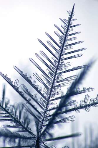 No two are alike: The intricate science of snow crystals
