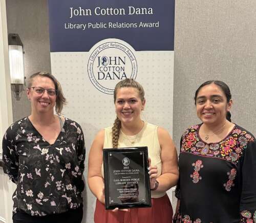 Gail Borden Library honored with award for transformative ‘Violins of ...