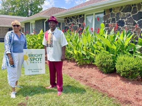 'House with the lilies' earns Bright Spot nod