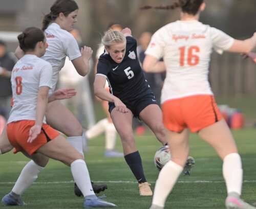 Cook County girls soccer All-Area team