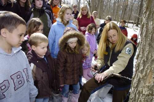 A little history, a little science tells the story of how maple syrup ...