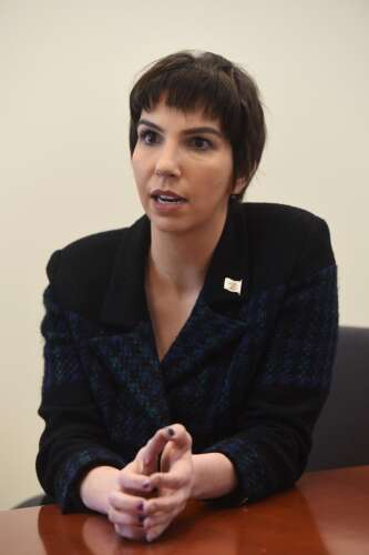 Political provocateur: Stava-Murray makes waves in Springfield, blames ...