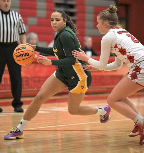 Girls basketball: DuPage County All-Area captain Mporokoso finishes ...