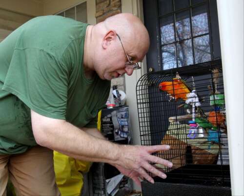 Aurora to take over bird hoarder home cleanup Friday