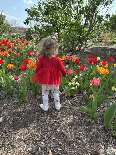 Lombard names winners of ‘Through My Lens’ photo contest