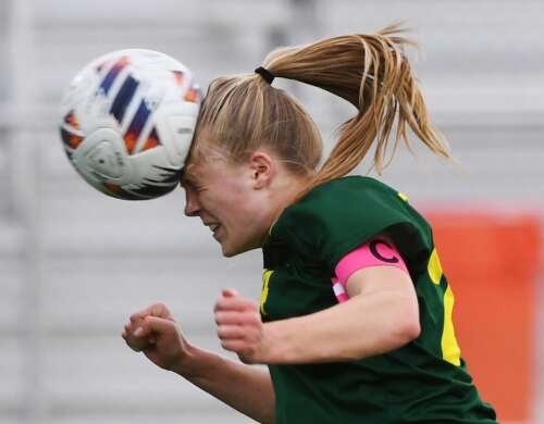 Girls soccer: Cook County All-Area captain Zimmerman’s play on the ...