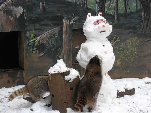 Celebrate the season with Cosley Zoo animals at annual Festival of Lights