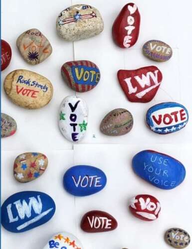 Democracy Rocks Treasure Hunt in Roselle to teach important civic lessons