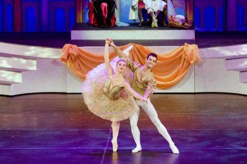 5 things to do in the suburbs this weekend