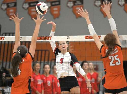 Girls volleyball: Cook County All-Area captain Brookbank becomes elite ...