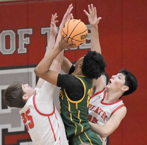 Boys basketball: Balanganayi scores 27, helps Palatine hand Fremd its ...