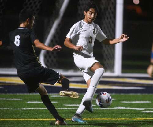 Boys soccer: Scouting Cook County and Lake County
