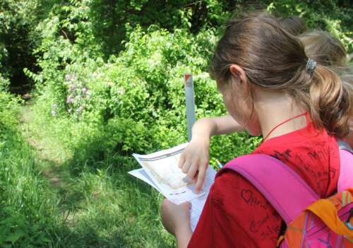 Paddling, fireflies, zip lining, archery among summer activities at ...