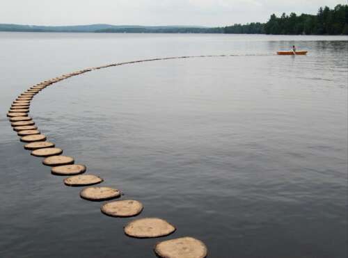 Morton Arboretum art exhibit celebrates tree forms