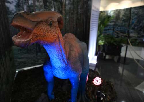 ‘Lots of oohs and aahs’: More than 20 animatronic dinosaurs take over ...