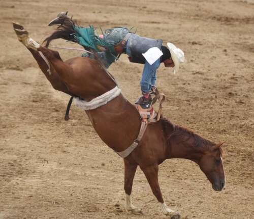 IPRA Championship Rodeo returns to Wauconda