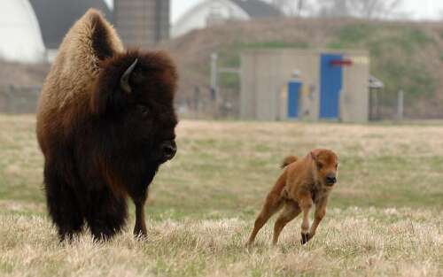 Fermilab grounds reopen for public recreation