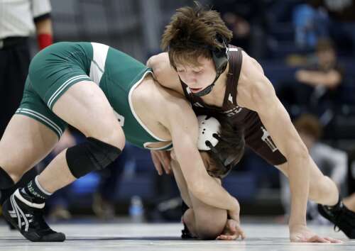 Wrestling roundup: Naperville Central 2nd, Libertyville 4th at 65th ...