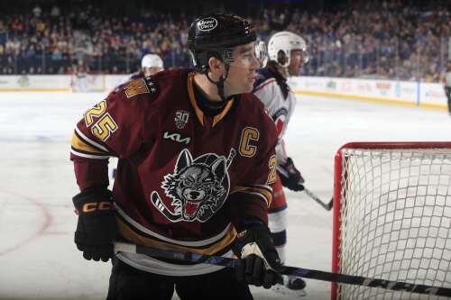 Season of milestones for Wolves captain Chris Terry