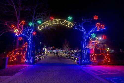 Veterans Day, turkeys and the upcoming holidays dominate November's fests