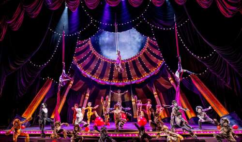 Purrrrrfection: Paramount’s cirque-inspired ‘Cats’ dazzles the eyes and ...