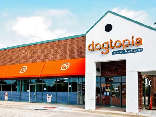Dogtopia Of Arlington Heights