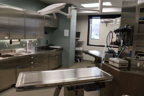 New DuPage wildlife hospital shows care for creatures great and small ...