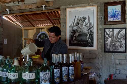 See how mezcal is made in Mexico