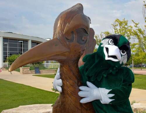 Why community colleges want live mascots