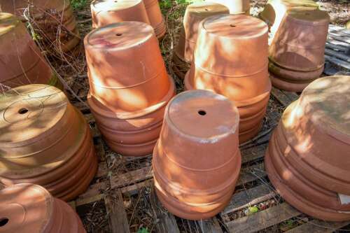Time to put up your pots - and other plant containers