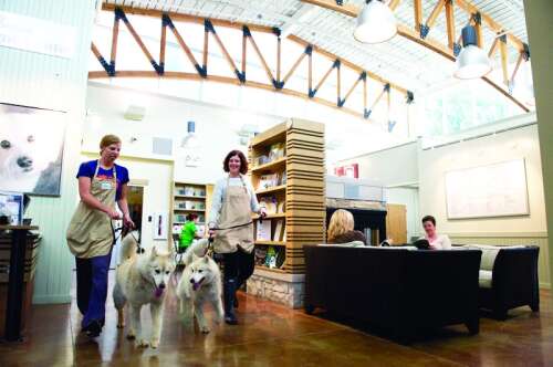 PAWS animal shelter eyes Hawthorn Woods for first suburban outpost, but ...