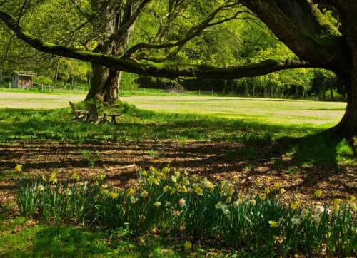 Climate change lengthening pollen season, making allergies worse