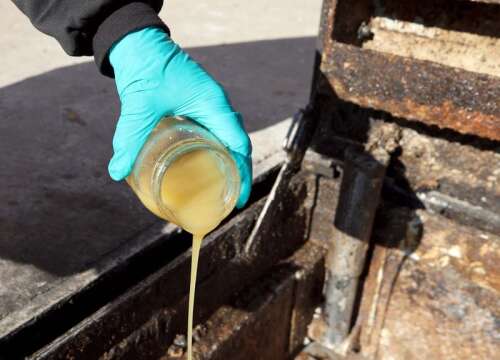 How your Thanksgiving cooking oil can be transformed into biofuel