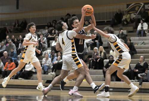 Boys basketball: St. Viator dances past Carmel