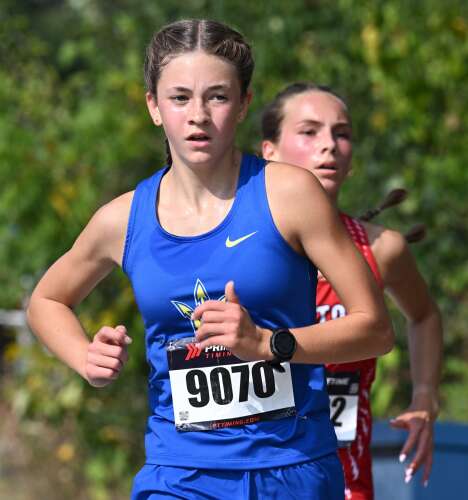 Cross country: Warren’s Wilson, Cary-Grove’s Tenopir take titles at Dawson invite