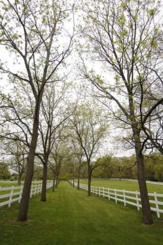 A sneak peek at massive Warrenville mansion, grounds before opening