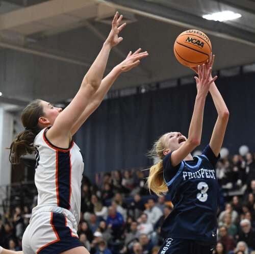 Girls basketball: Prospect downs Buffalo Grove, wins 1st MSL title