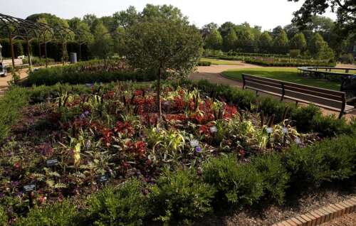 Cantigny Park to unveil stunning new gardens with reopening celebration