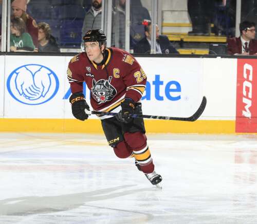 Season of milestones for Wolves captain Chris Terry