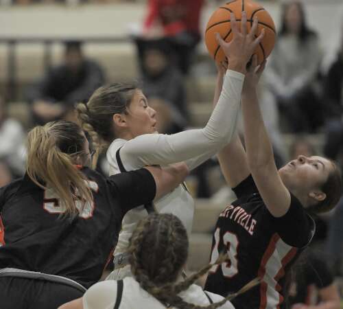 Girls basketball Top 20