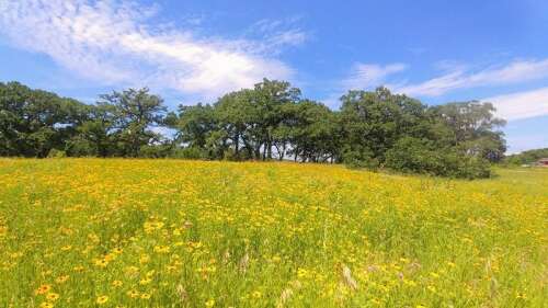 Land Conservancy kicks off fundraising challenge to raise $15,000 for ...
