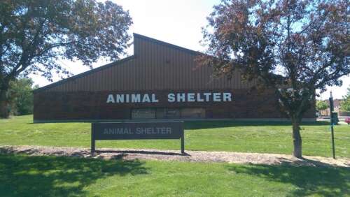 DuPage County forms panel to oversee animal control