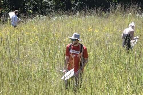 Constable: Insect Fear Film Festival features 'King of Sting'