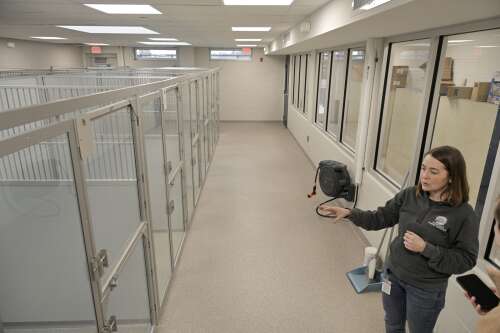 Caring for homeless pets: An inside look at DuPage County’s expanded ...