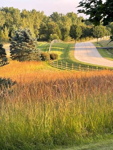 MCC, Master Gardeners to hold annual garden walk in McHenry County