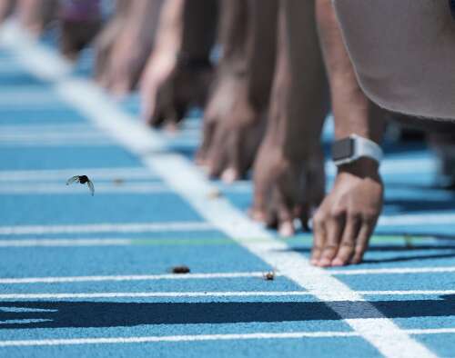 Photo Gallery: State boys track and field, cicada invasion in Charleston