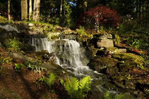 Indiana's Azalea Path Botanical Garden offers petals, trails