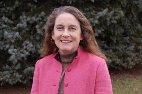 Ann Maine: Candidate Profile